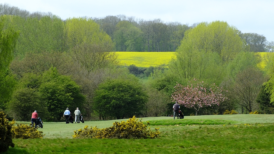 Outney Common - Welcome to Bungay
